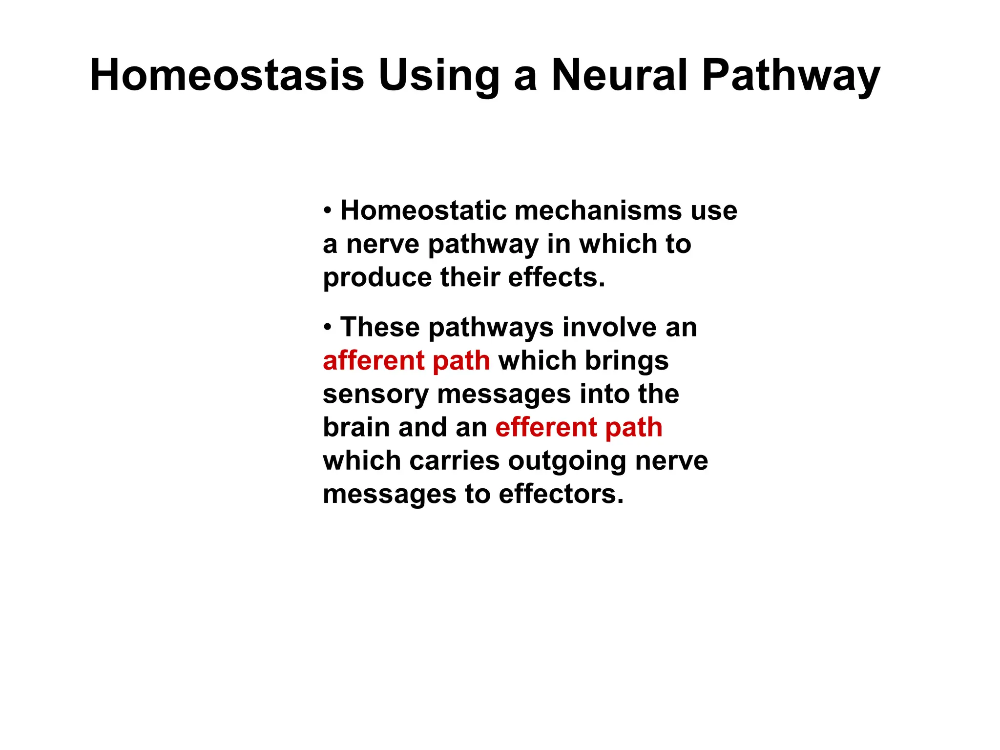 6. Body regulation.Homeostasis and adaptation to the environment.ppt