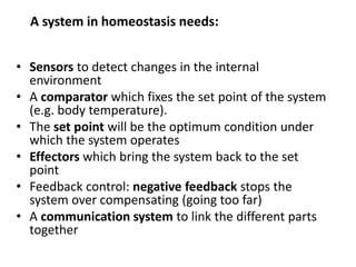 6. Body regulation.Homeostasis and adaptation to the environment.ppt