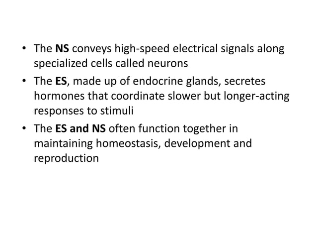 6. Body regulation.Homeostasis and adaptation to the environment.ppt