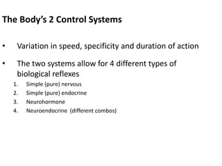 6. Body regulation.Homeostasis and adaptation to the environment.ppt
