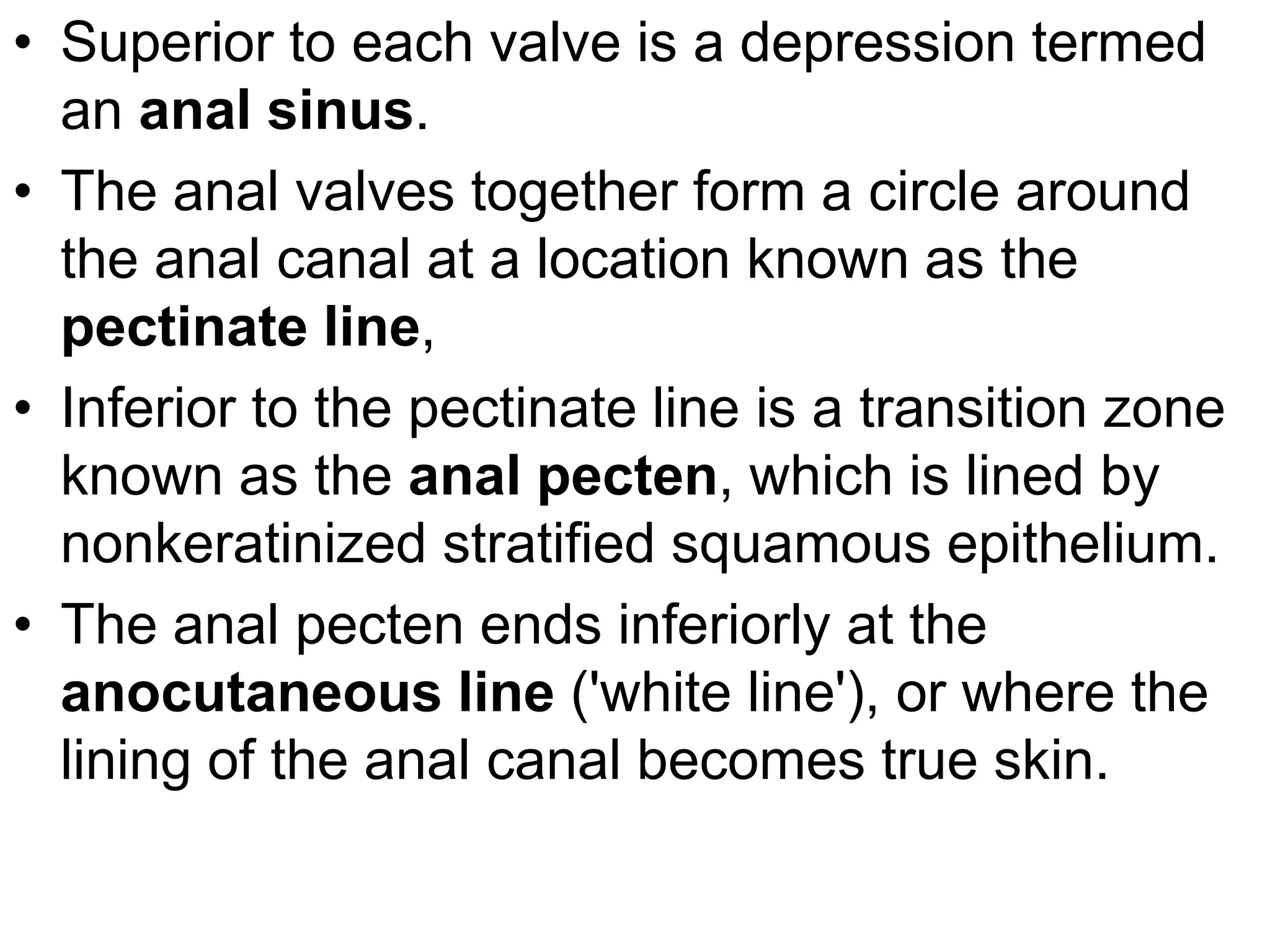 LARGE INTESTINE in the human body of a person | PPTX