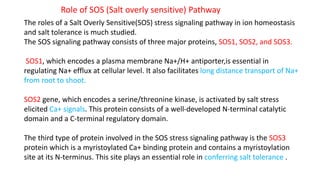 Molecular responses to salinity stress | PPTX