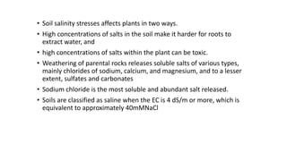 Molecular responses to salinity stress | PPTX