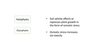 Molecular responses to salinity stress | PPTX