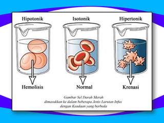 6. MEDIA tekanan osmosis . . . . . . .pptx