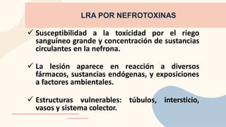 6. LESION RENAL AGUDA tomado de medicina interna de harrison | PDF