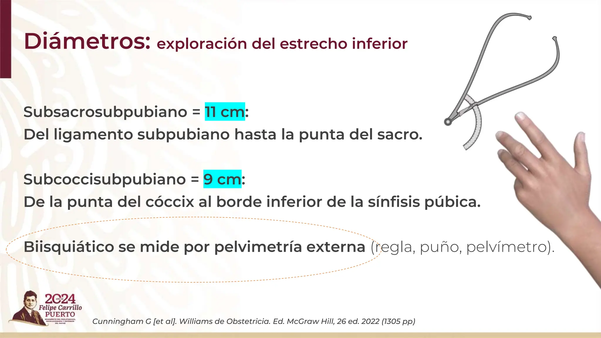 anatomia de la pelvis/pelvis osea, principales caracteristicaspptx | PPTX