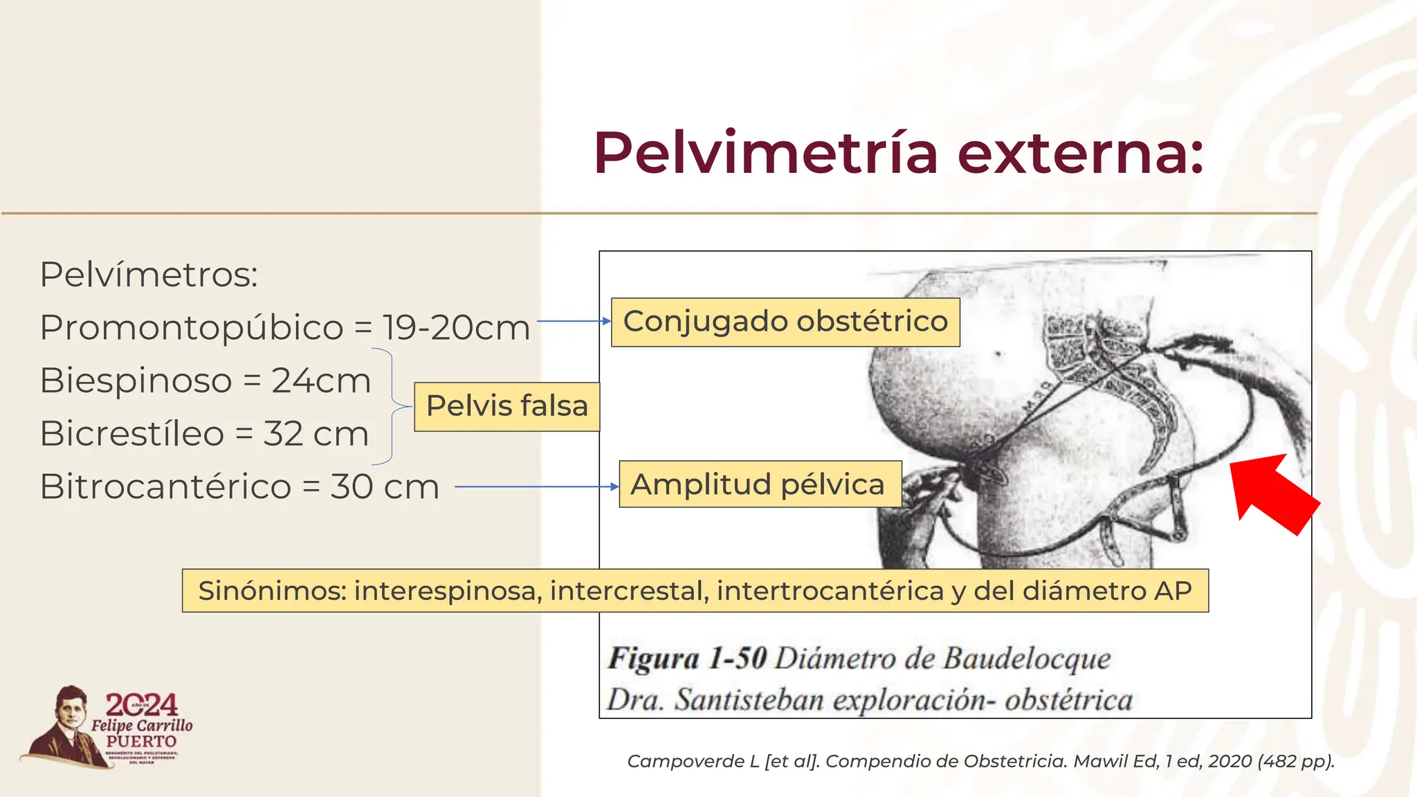 anatomia de la pelvis/pelvis osea, principales caracteristicaspptx | PPTX