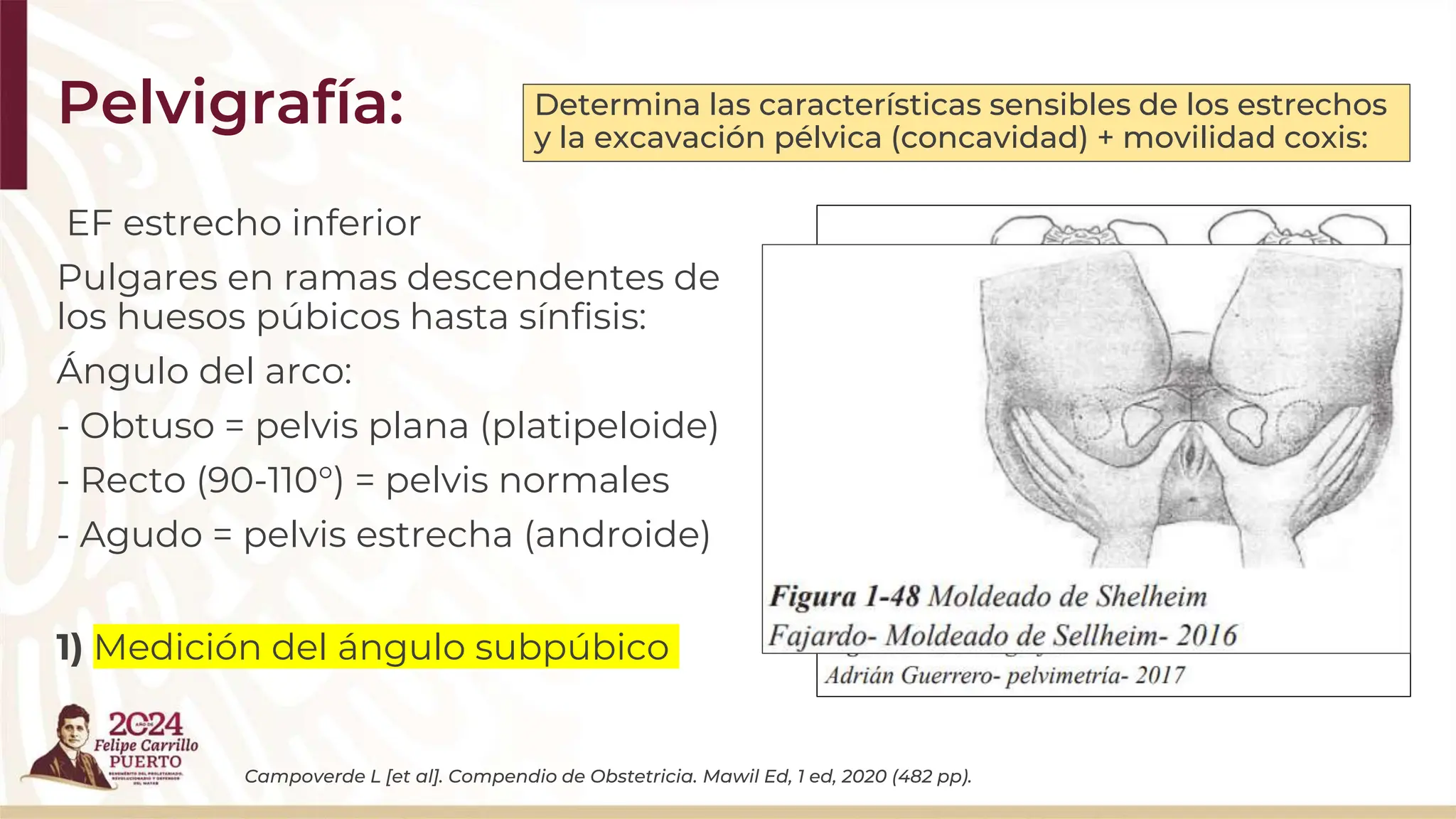 anatomia de la pelvis/pelvis osea, principales caracteristicaspptx | PPTX