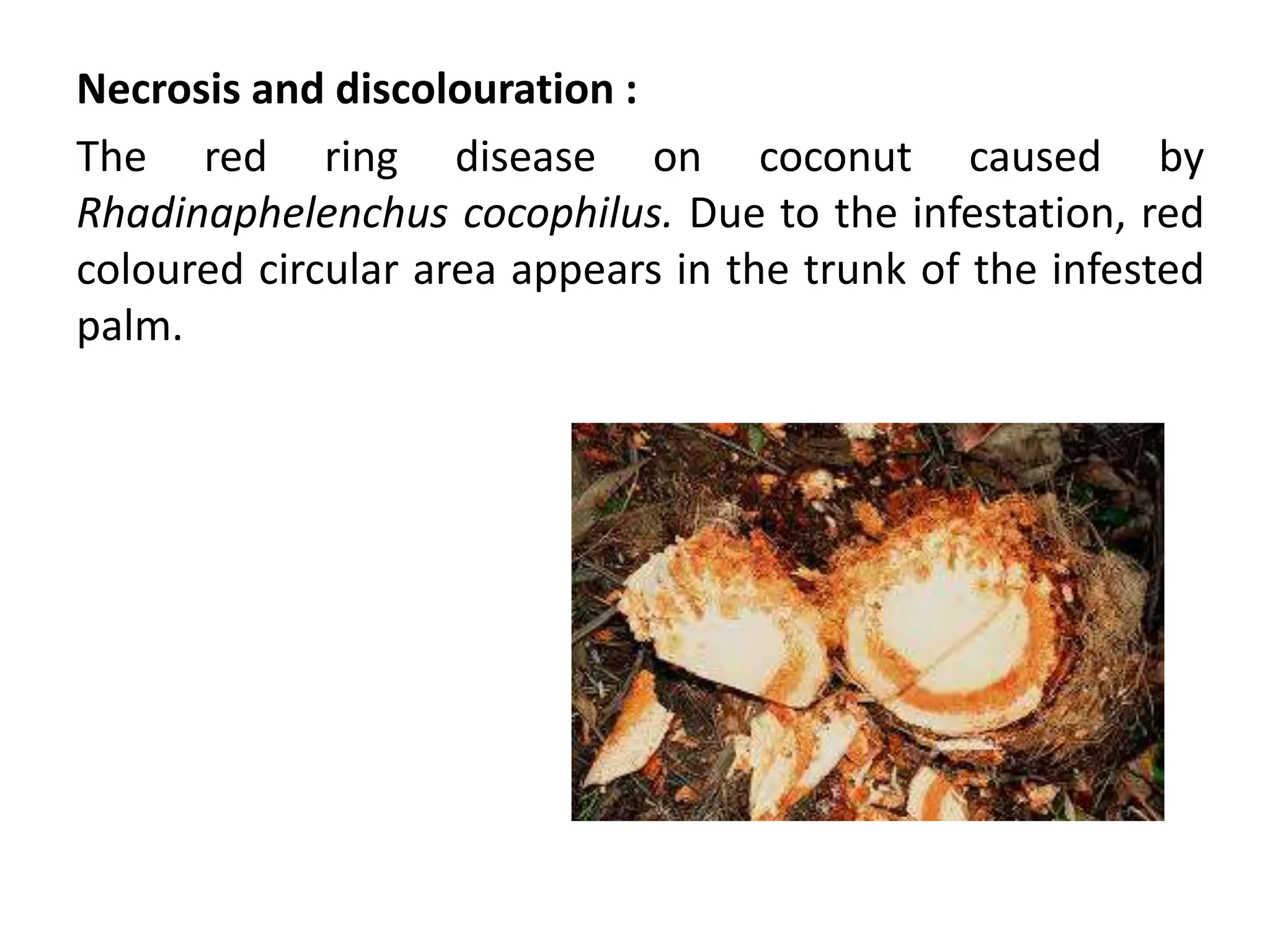 Symptoms caused by nematodes and its management | PPTX