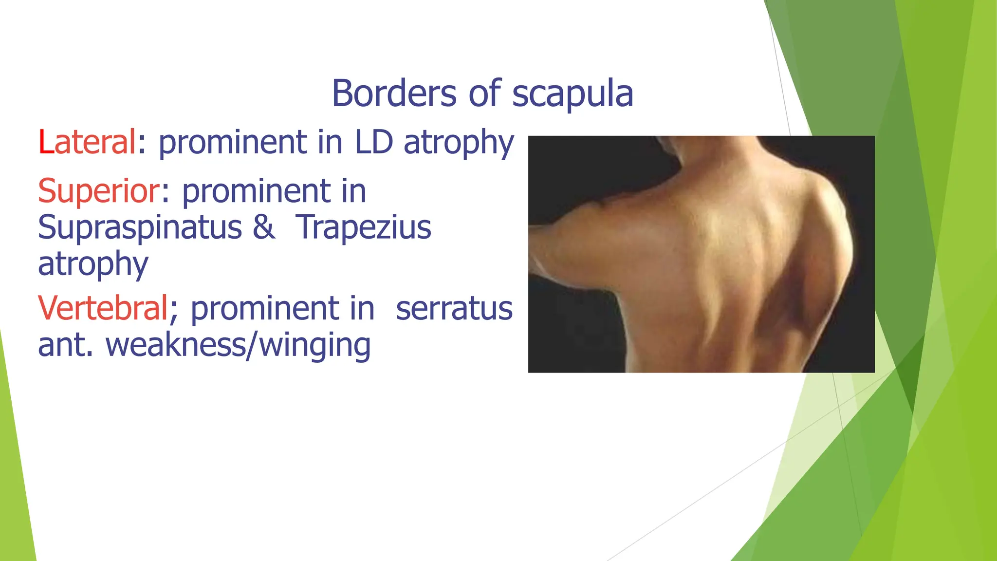 Shoulder Examinations and assessment PPT | PPTX