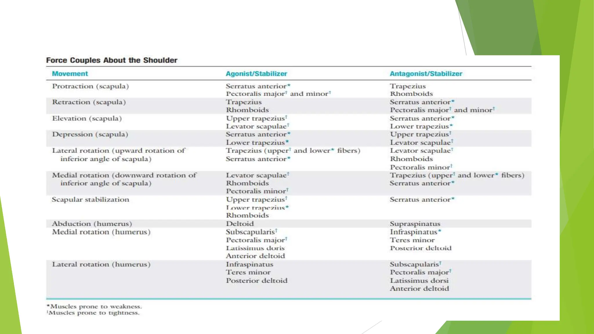 Shoulder Examinations and assessment PPT | PPTX
