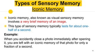 6. Sensory Memory and its types, and Short-term Memory.pptx