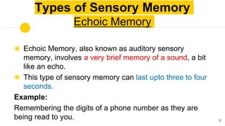 6. Sensory Memory and its types, and Short-term Memory.pptx