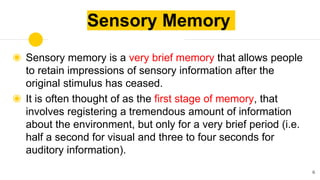 6. Sensory Memory and its types, and Short-term Memory.pptx