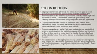 6. Indigenous materials in the Philippines.pptx