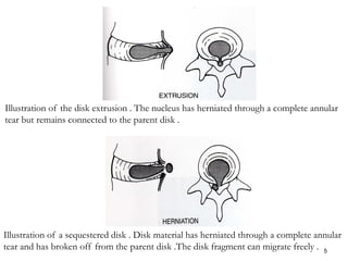 Biomedical engineering and biomedical research | PPT