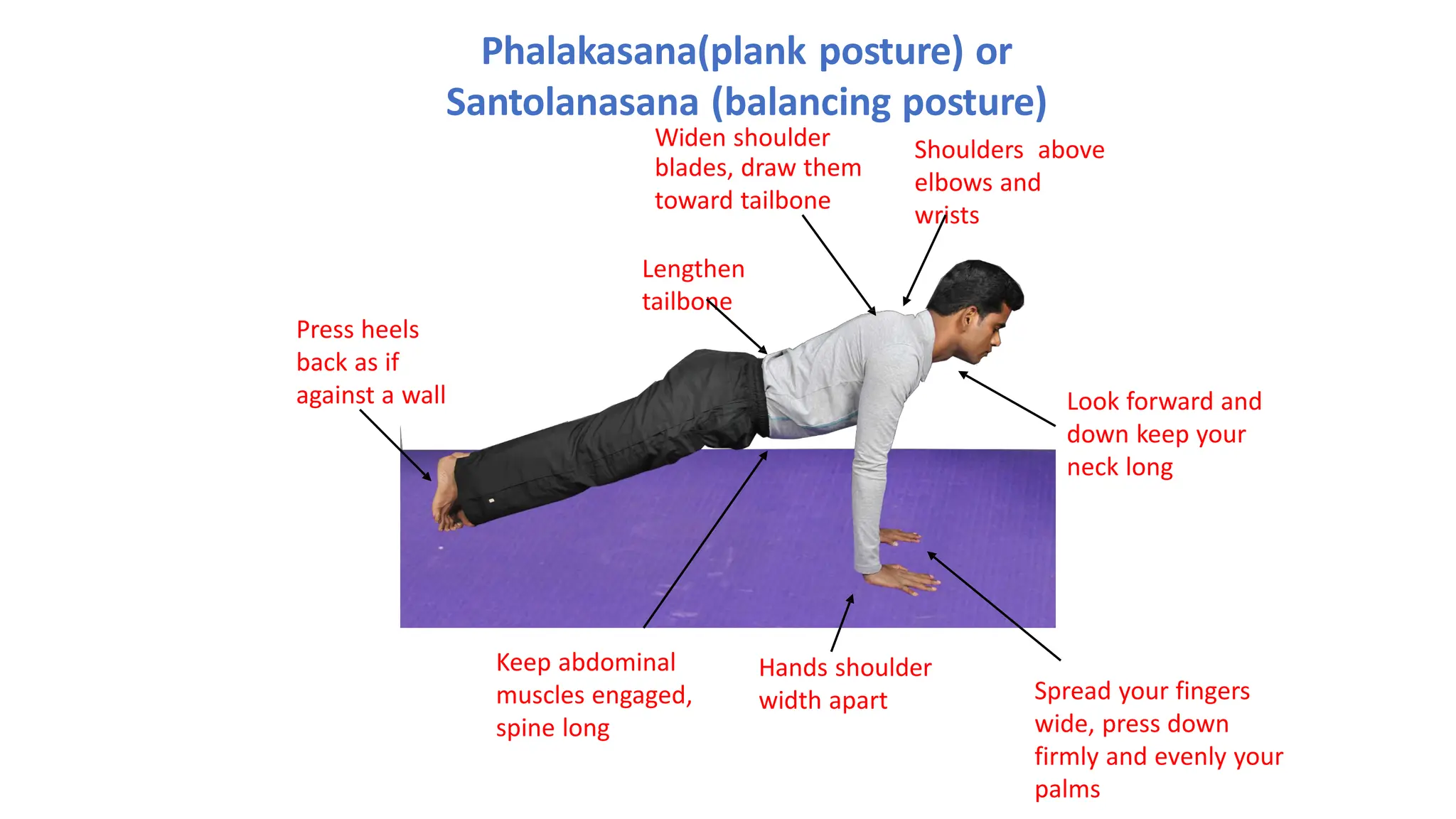 arm balance asana - Comprehensive understanding of arm balancing asana ...