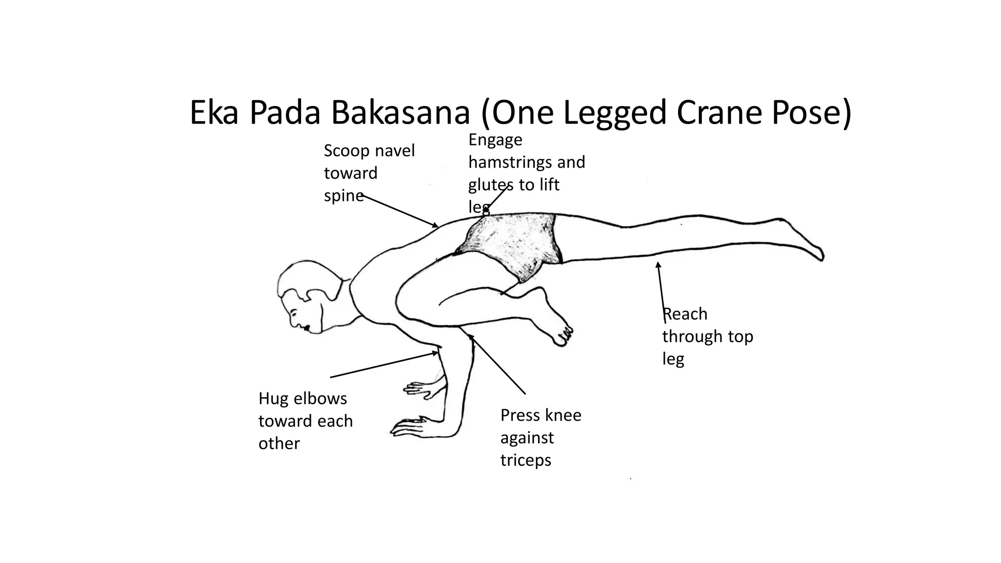 arm balance asana - Comprehensive understanding of arm balancing asana ...