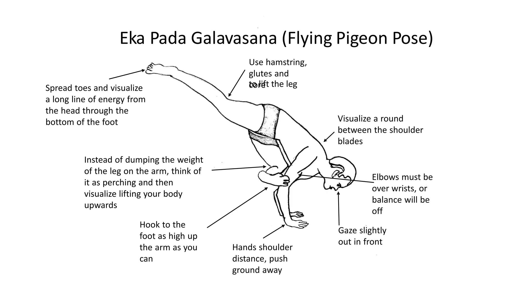 arm balance asana - Comprehensive understanding of arm balancing asana ...