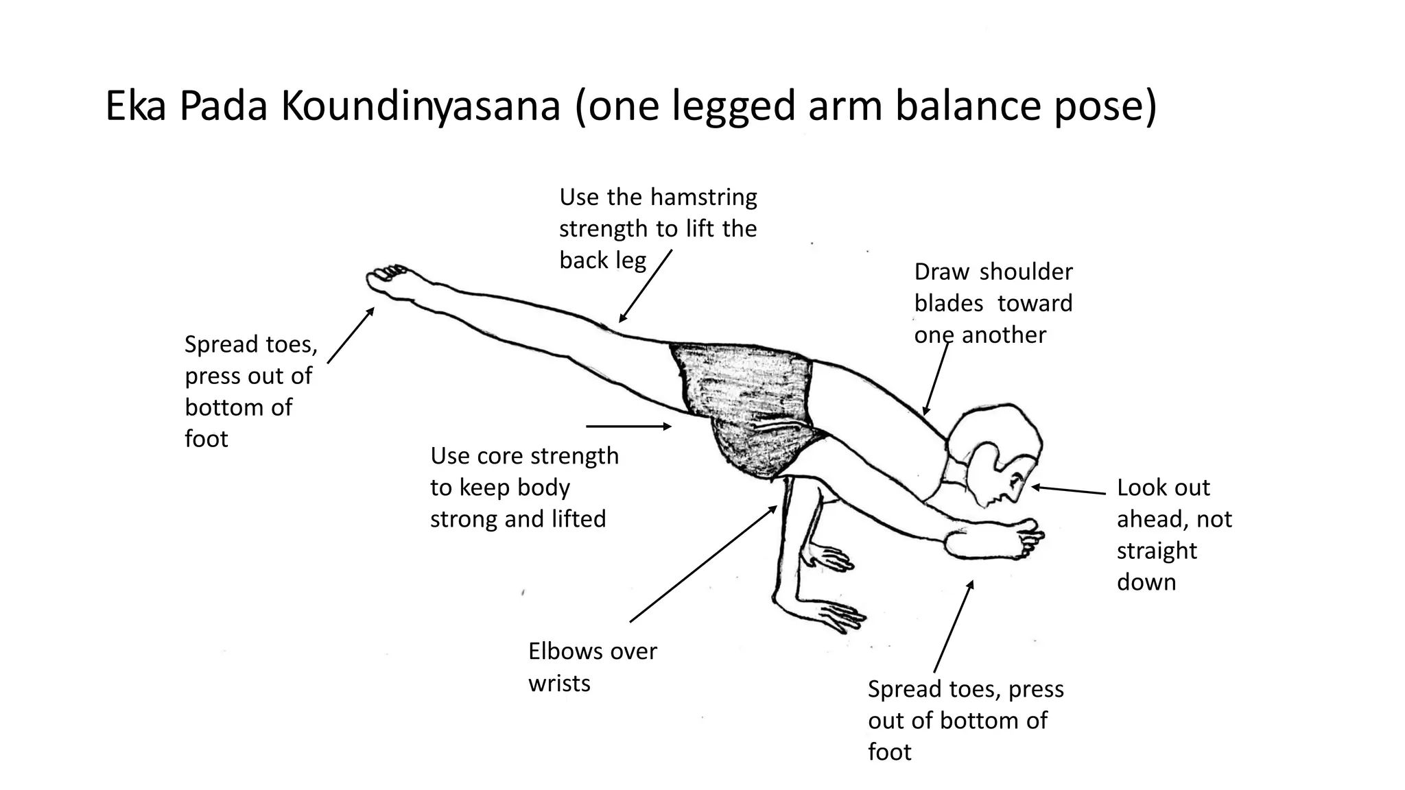 arm balance asana - Comprehensive understanding of arm balancing asana ...