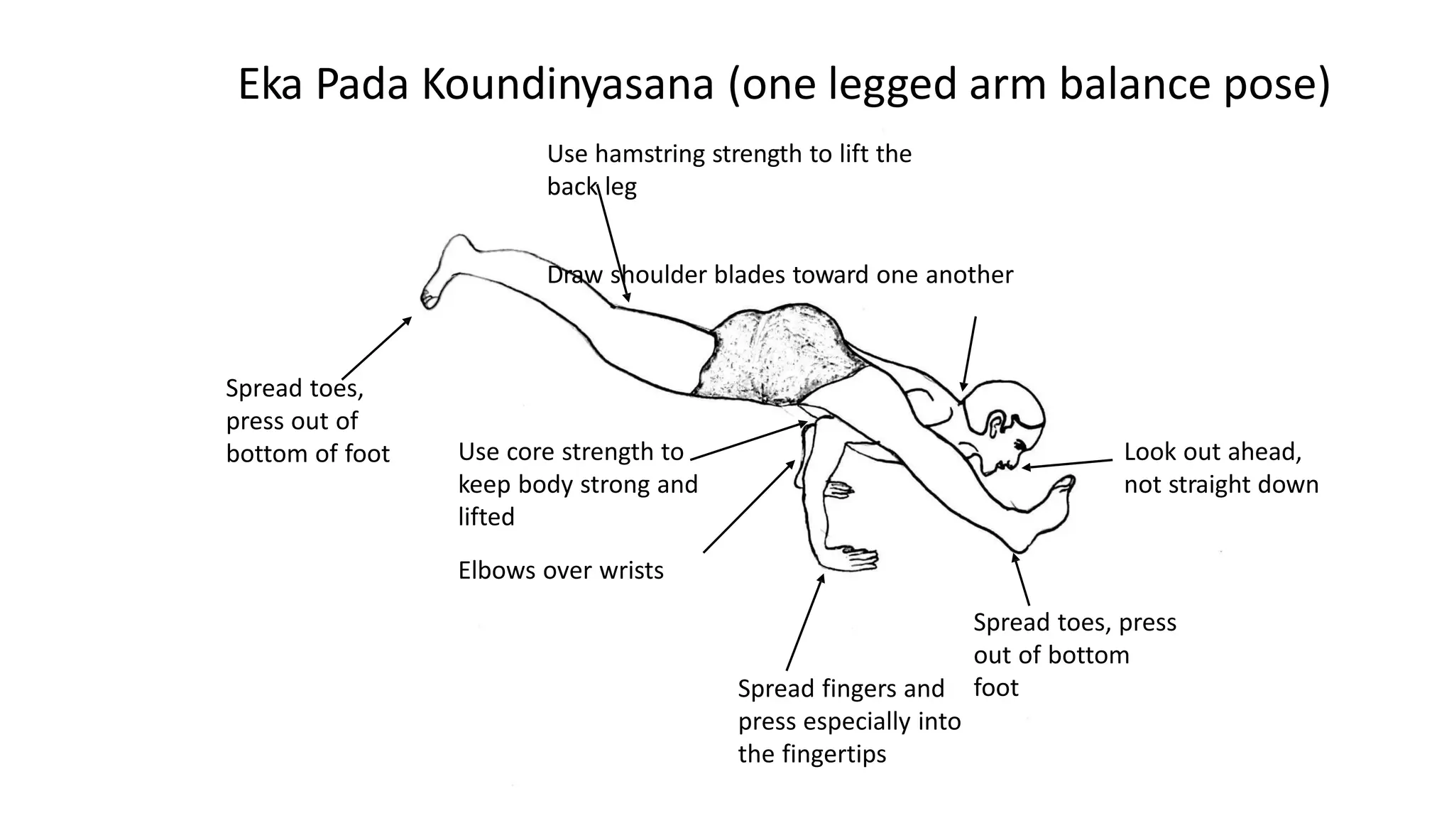 arm balance asana - Comprehensive understanding of arm balancing asana ...