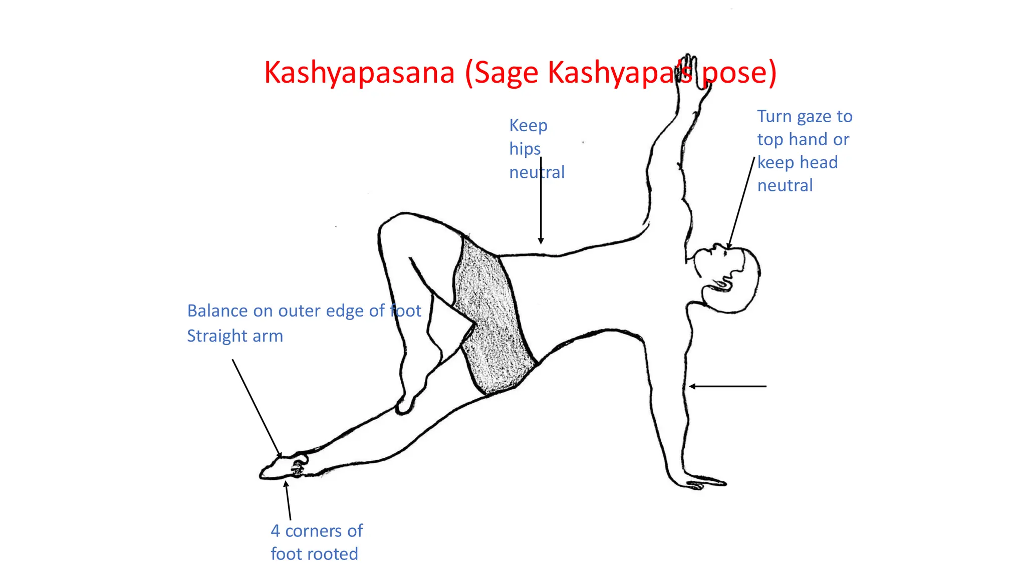arm balance asana - Comprehensive understanding of arm balancing asana ...