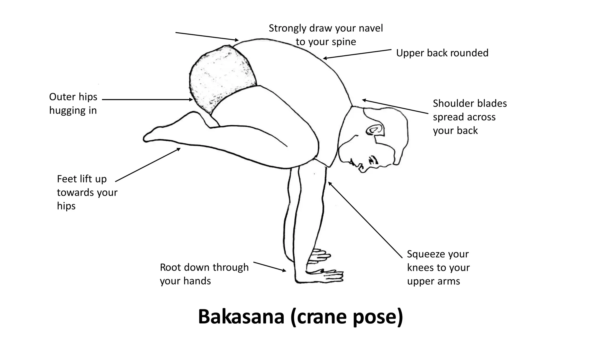 arm balance asana - Comprehensive understanding of arm balancing asana ...