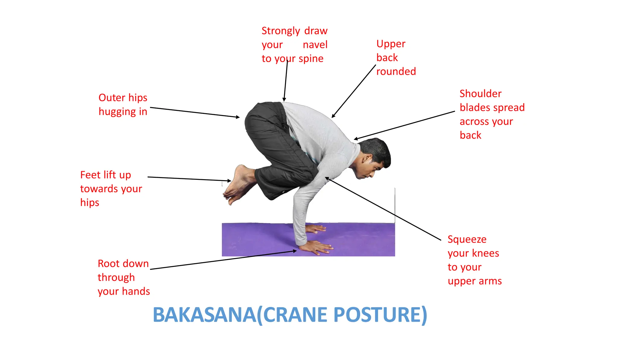 arm balance asana - Comprehensive understanding of arm balancing asana ...