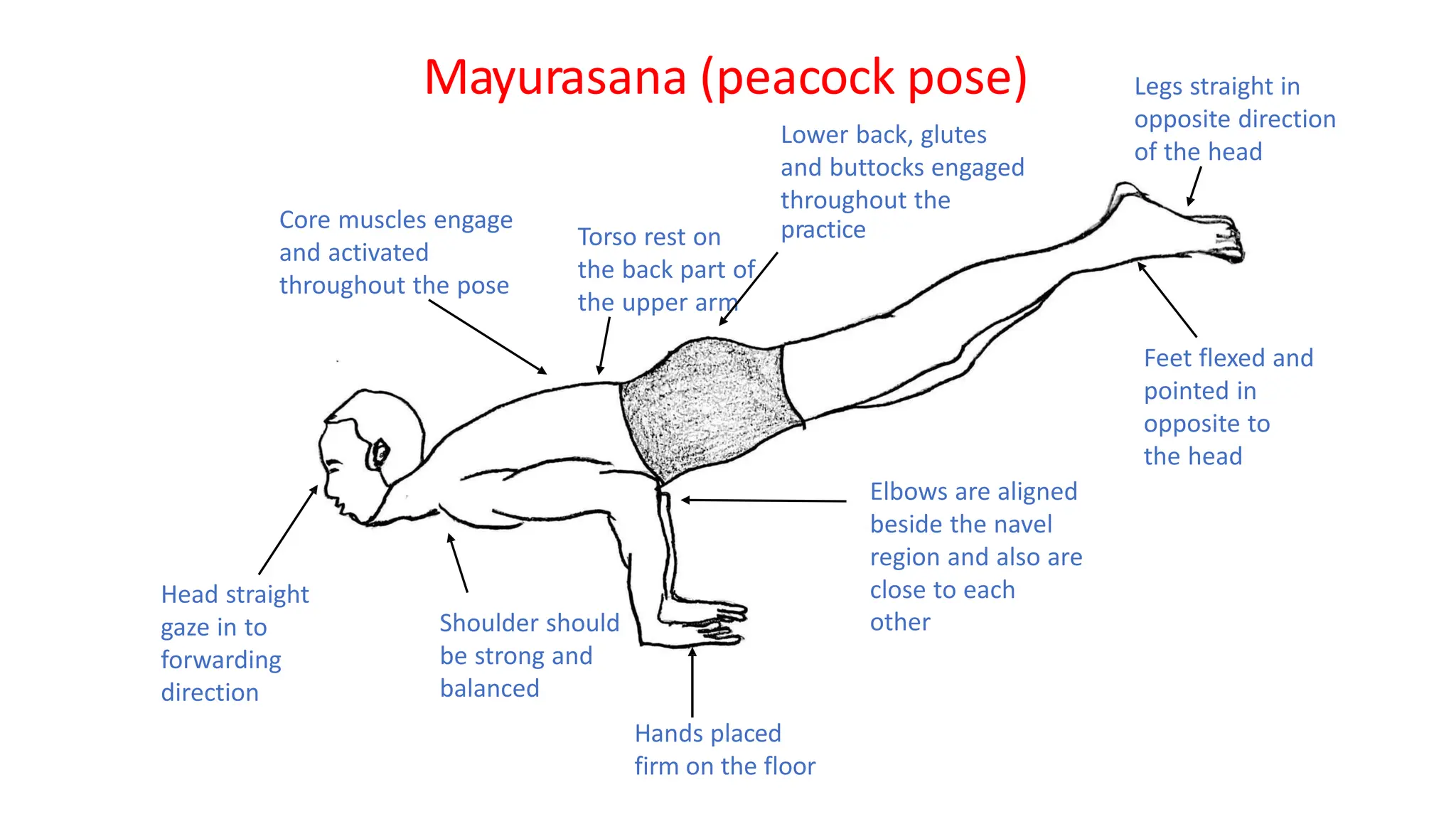 arm balance asana - Comprehensive understanding of arm balancing asana ...