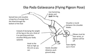 arm balance asana - Comprehensive understanding of arm balancing asana ...