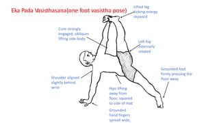 arm balance asana - Comprehensive understanding of arm balancing asana ...