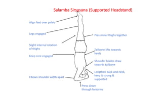 arm balance asana - Comprehensive understanding of arm balancing asana ...
