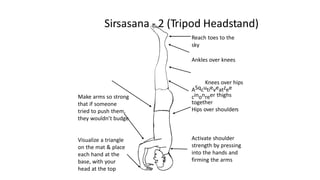 arm balance asana - Comprehensive understanding of arm balancing asana ...