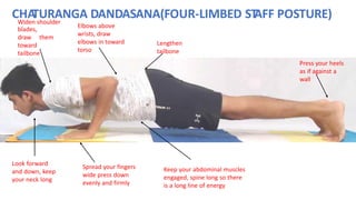 arm balance asana - Comprehensive understanding of arm balancing asana ...