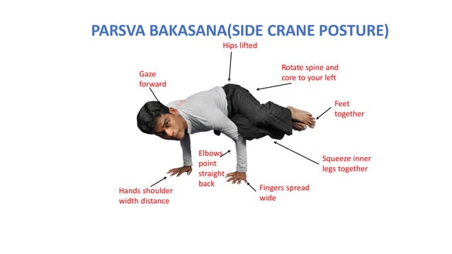 arm balance asana - Comprehensive understanding of arm balancing asana ...