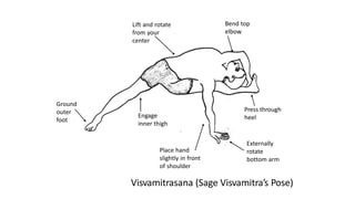 arm balance asana - Comprehensive understanding of arm balancing asana ...