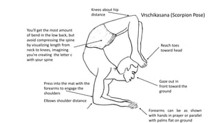 arm balance asana - Comprehensive understanding of arm balancing asana ...