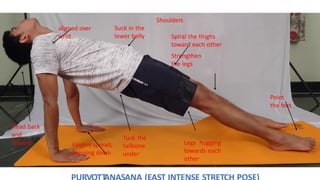 arm balance asana - Comprehensive understanding of arm balancing asana ...