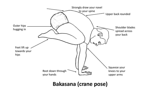 arm balance asana - Comprehensive understanding of arm balancing asana ...