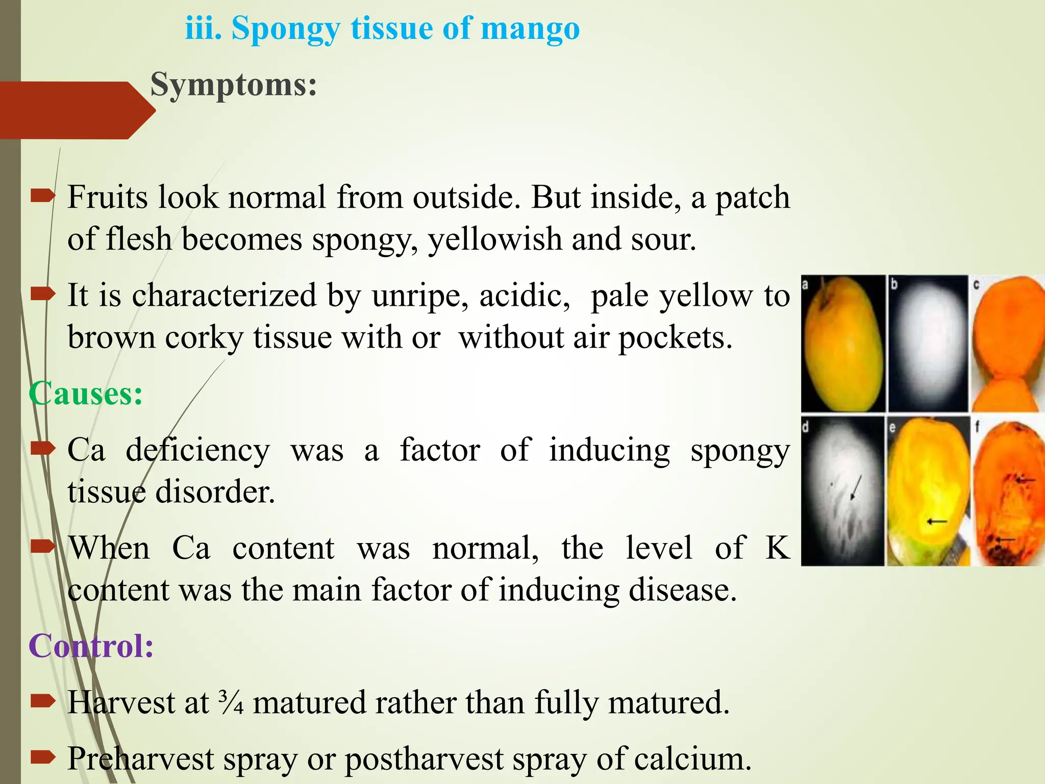 6. Physiological Disorder of fruits and vegetables.pptx