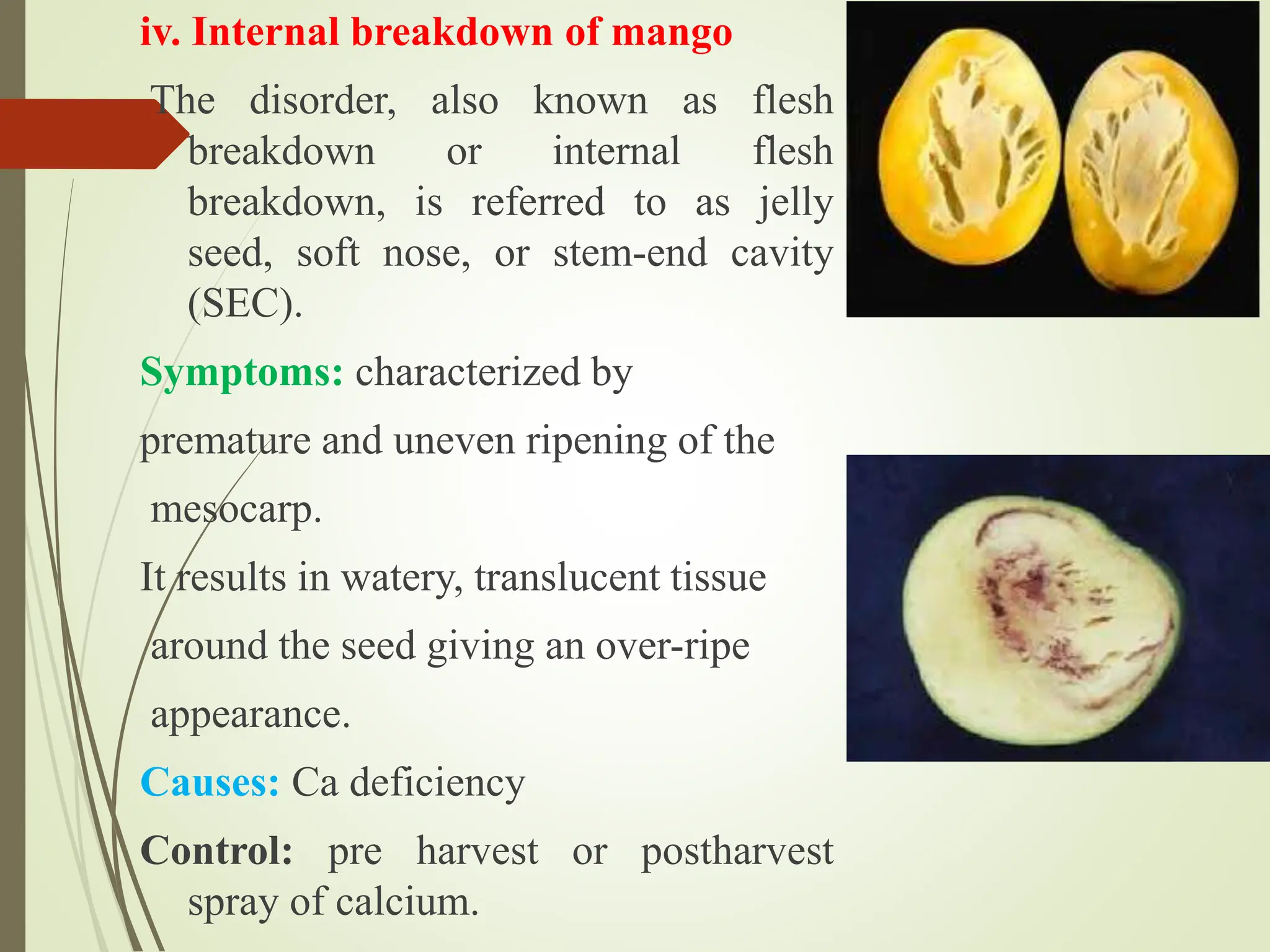 6. Physiological Disorder of fruits and vegetables.pptx