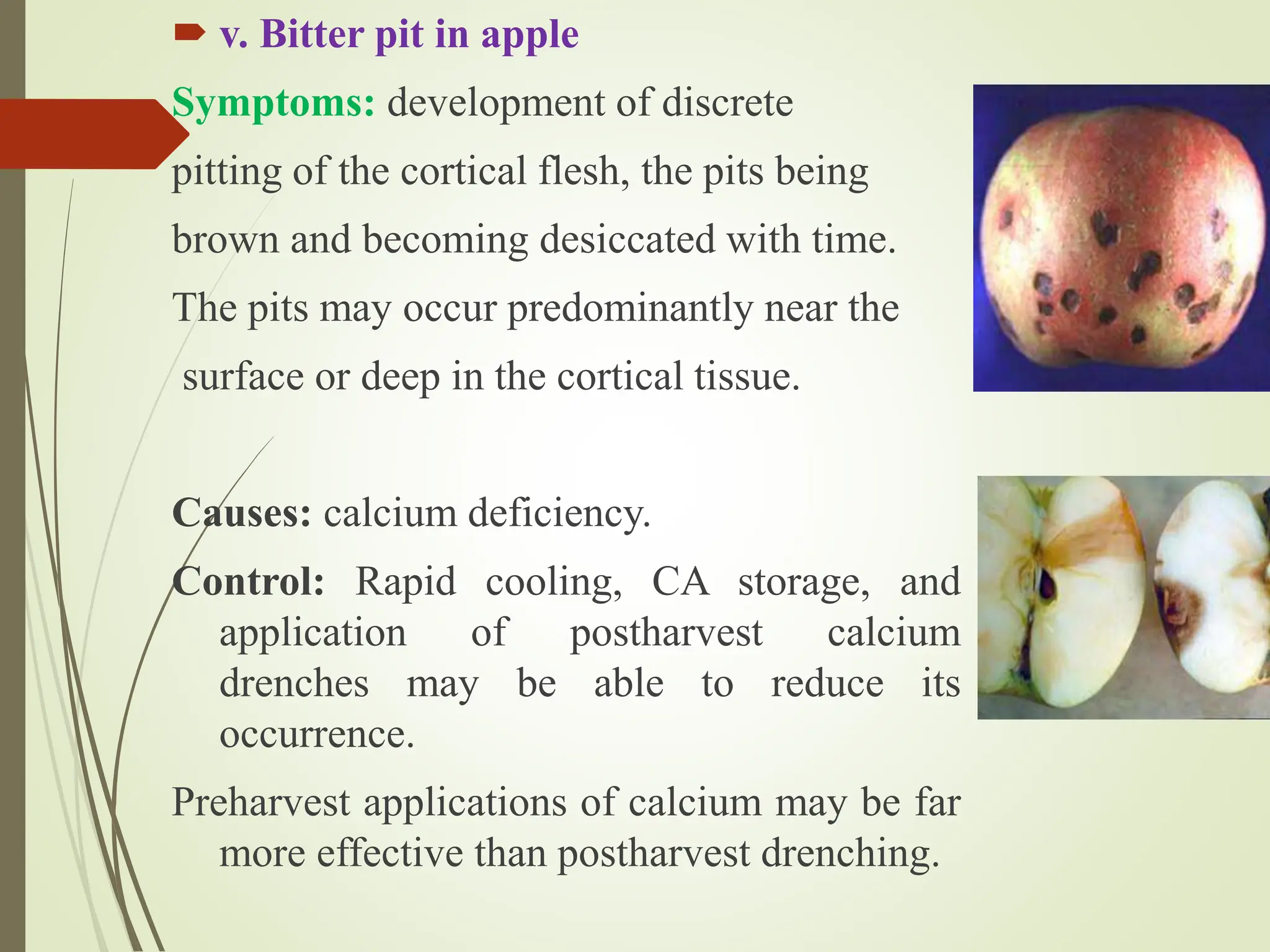 6. Physiological Disorder of fruits and vegetables.pptx