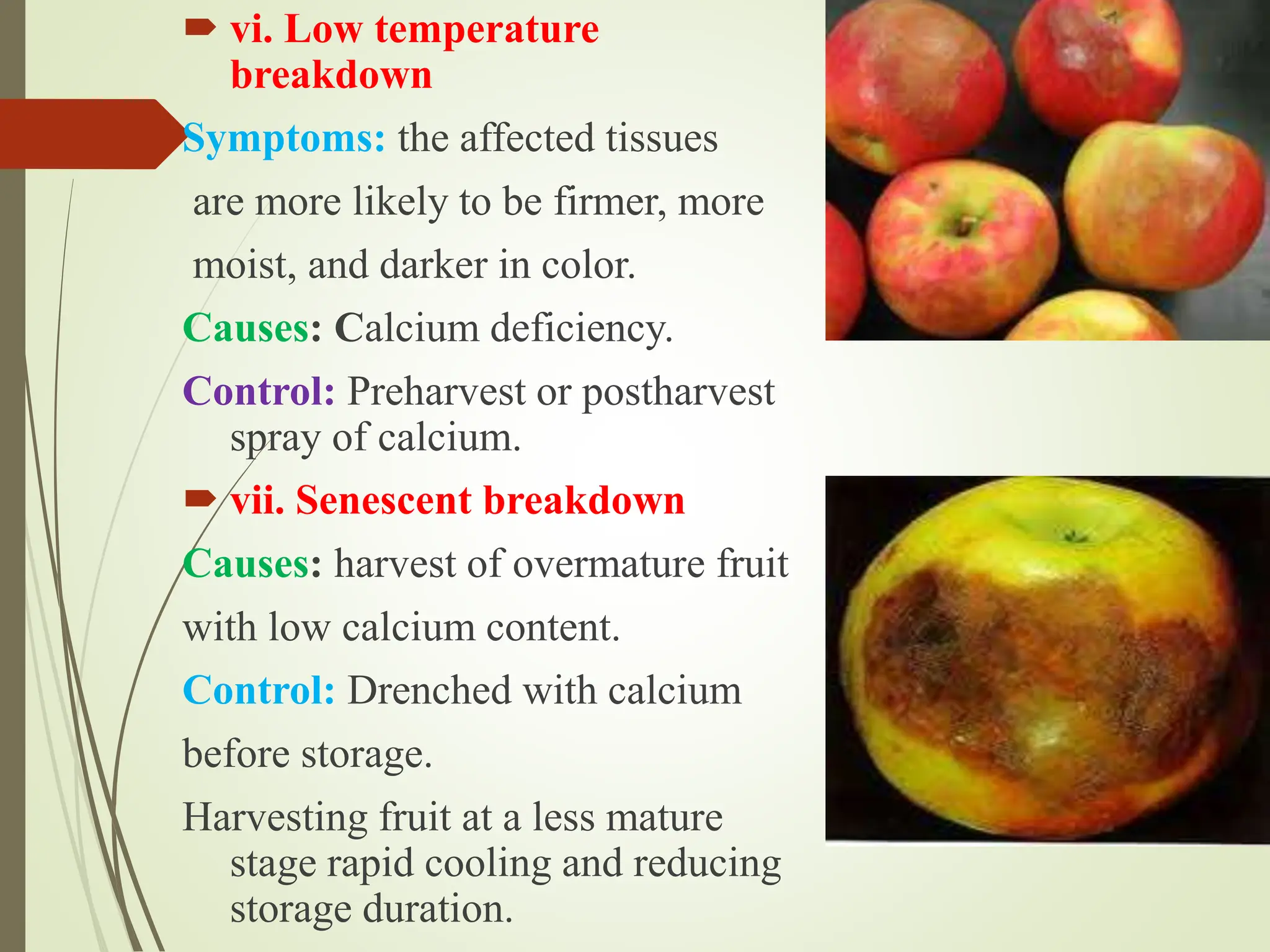 6. Physiological Disorder of fruits and vegetables.pptx
