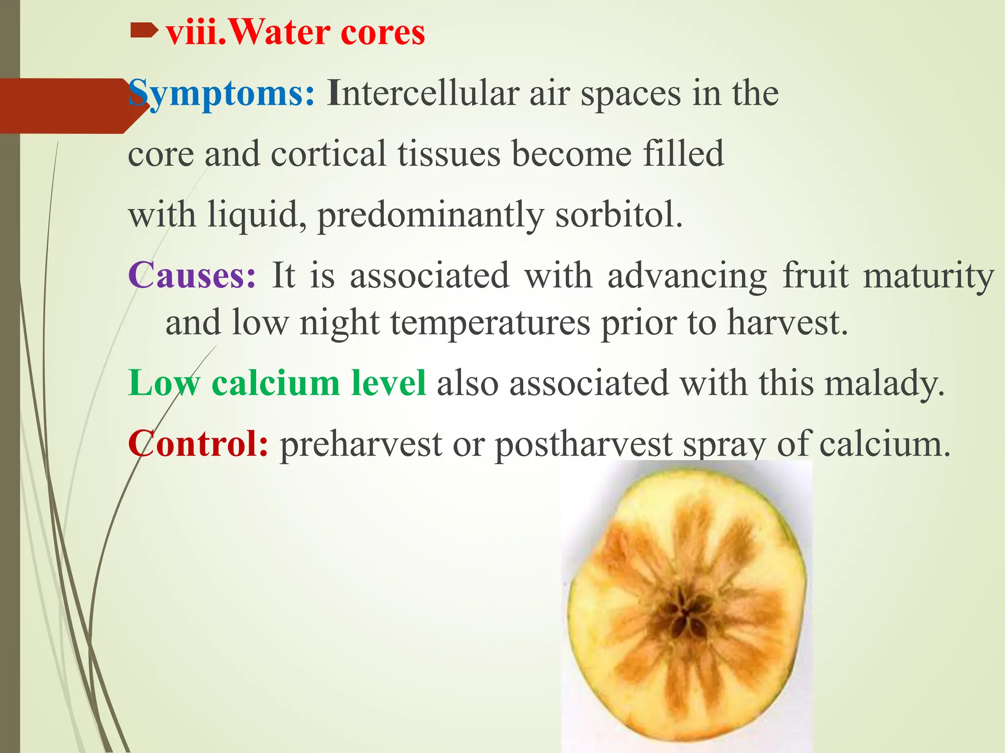 6. Physiological Disorder of fruits and vegetables.pptx