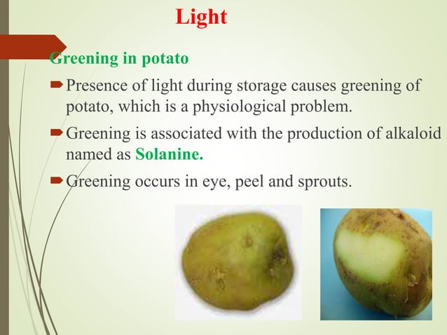 6. Physiological Disorder of fruits and vegetables.pptx