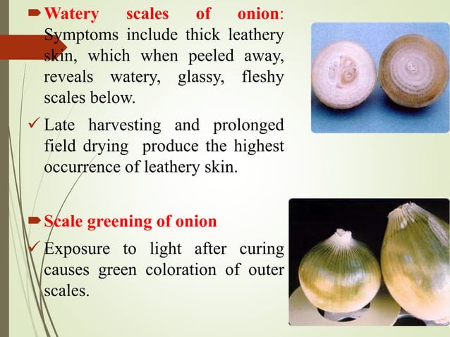 6. Physiological Disorder of fruits and vegetables.pptx