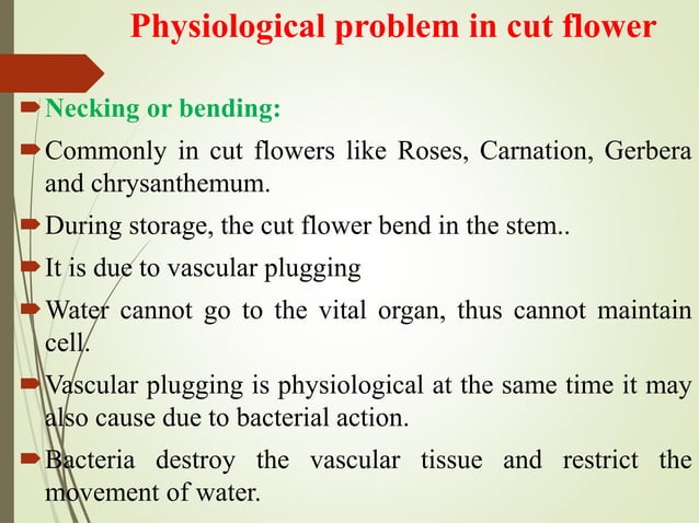 6. Physiological Disorder of fruits and vegetables.pptx