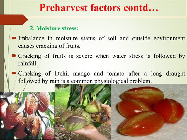 6. Physiological Disorder of fruits and vegetables.pptx