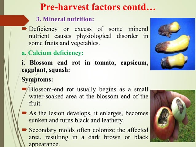 6. Physiological Disorder of fruits and vegetables.pptx